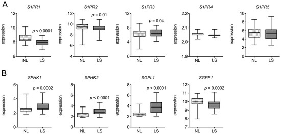 Macrophage S1PR1 Signaling Alters Angiogenesis and Lymphangiogenesis ...