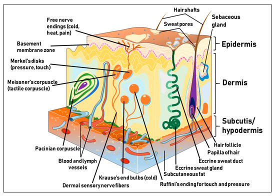 Role and Therapeutic Targeting of the PI3K/Akt/mTOR Signaling Pathway ...