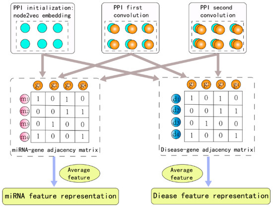 Cells | Free Full-Text | A Novel Computational Model for Predicting microRNA–Disease ...
