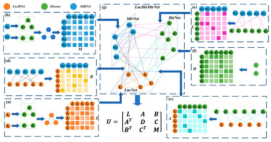 Cells Free Full Text Graph Convolutional Network And Convolutional Neural Network Based