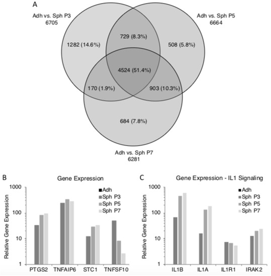Cells | Free Full-Text | Efficacy of 3D Culture Priming is Maintained ...