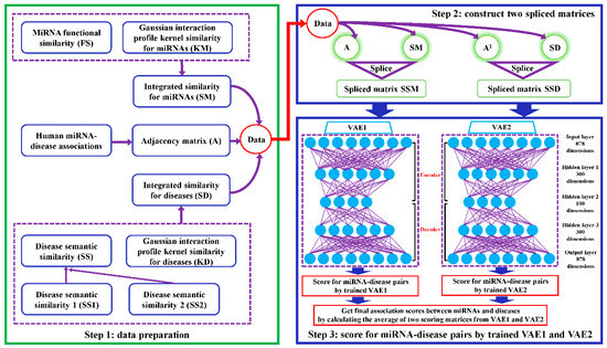 Cells | Free Full-Text | Prediction of Potential miRNA–Disease ...