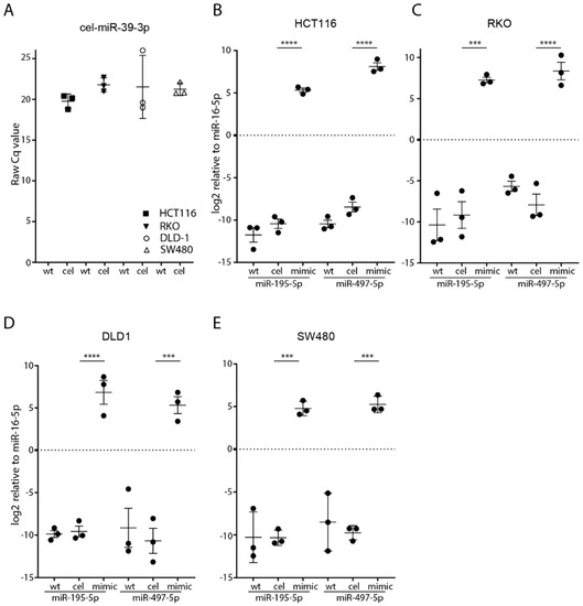 Cells | Free Full-Text | Proteomic Analysis of miR-195 and miR-497 ...
