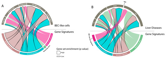 Meta-Analysis of Human and Mouse Biliary Epithelial Cell Gene Profiles