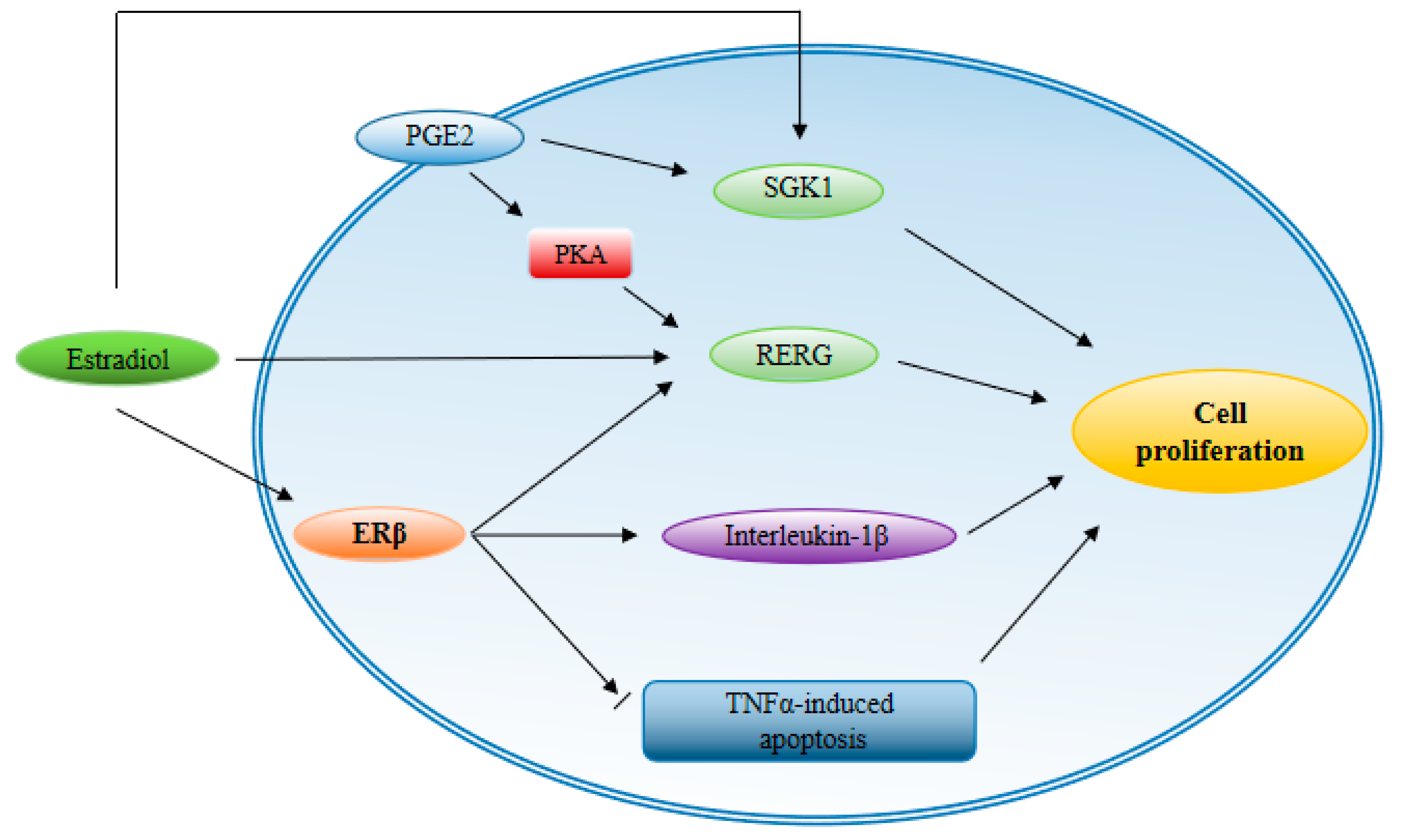 Revisiting The Estrogen Receptor Pathway And Its Role In Endocrine