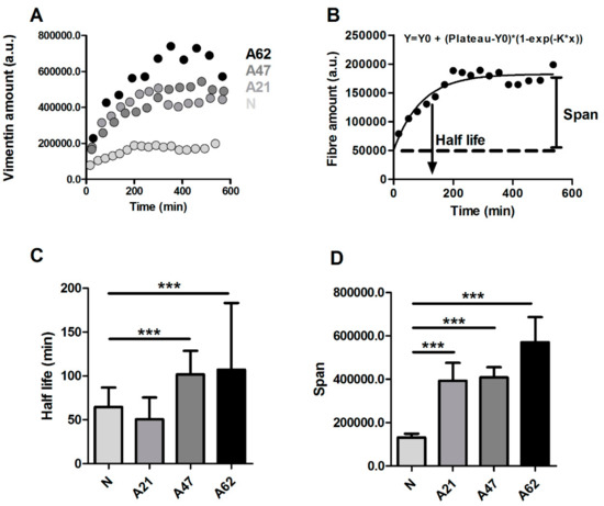 Vimentin Plays a Crucial Role in Fibroblast Ageing by Regulating ...