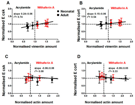 Vimentin Plays a Crucial Role in Fibroblast Ageing by Regulating ...