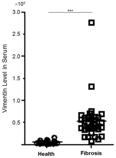 Characterization of the Roles of Vimentin in Regulating the ...