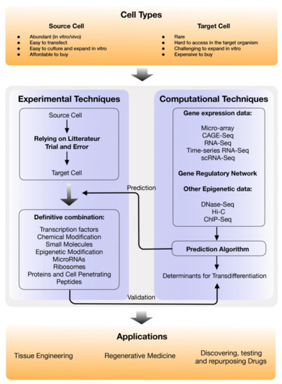 Experimental and Computational Approaches to Direct Cell Reprogramming ...