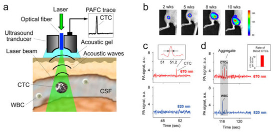 New Frontiers in Diagnosis and Therapy of Circulating Tumor Markers in ...