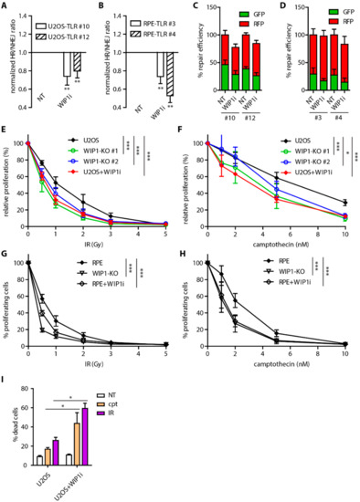 WIP1 Promotes Homologous Recombination and Modulates Sensitivity to ...