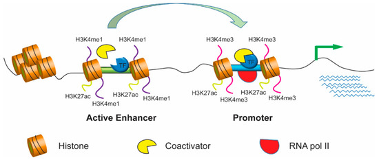 Enhancer Dysfunction in 3D Genome and Disease