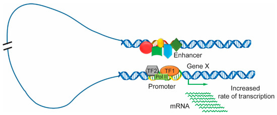 Enhancer Dysfunction in 3D Genome and Disease