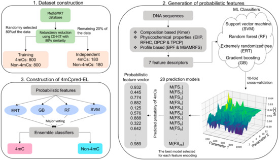 4mCpred-EL: An Ensemble Learning Framework for Identification of DNA N4 ...