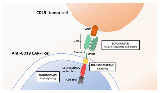 MLL-Rearranged Acute Leukemia with t(4;11)(q21;q23)—Current Treatment ...