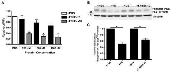 A Matricryptic Conformation of the Integrin-Binding Domain of ...