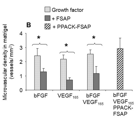 VEGF-A-Cleavage by FSAP and Inhibition of Neo-Vascularization