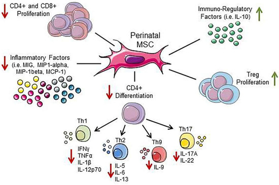 Cells | Special Issue : Immunomodulation by Mesenchymal Stem Cells