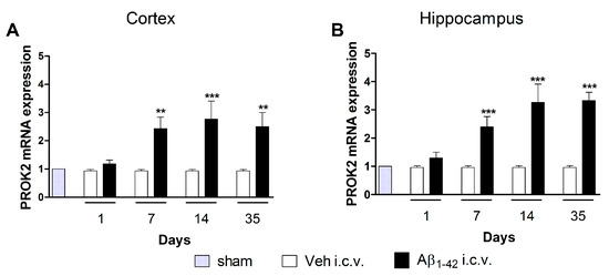 Involvement of the Chemokine Prokineticin-2 (PROK2) in Alzheimer’s ...