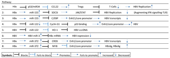 The Regulatory Role of MicroRNA in Hepatitis-B Virus-Associated ...
