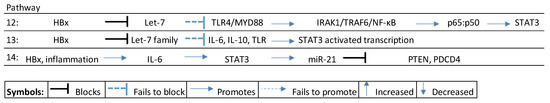 The Regulatory Role of MicroRNA in Hepatitis-B Virus-Associated ...