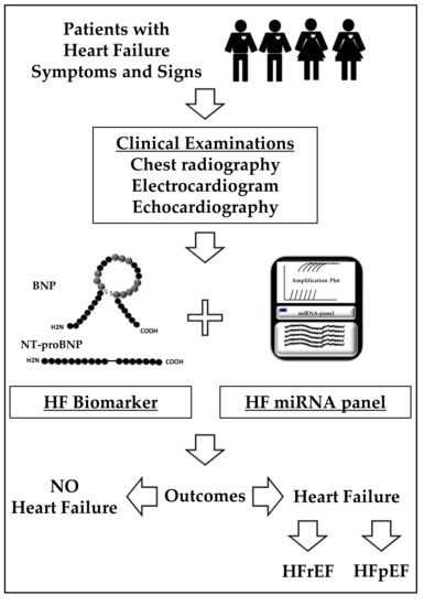 Heart Failure with Reduced Ejection Fraction (HFrEF) and Preserved ...