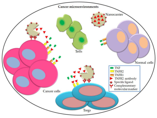 Synergistic Effects of Nanomedicine Targeting TNFR2 and DNA ...