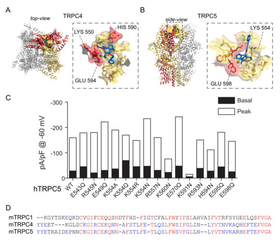 Structure–Function Relationship and Physiological Roles of Transient Receptor Potential ...