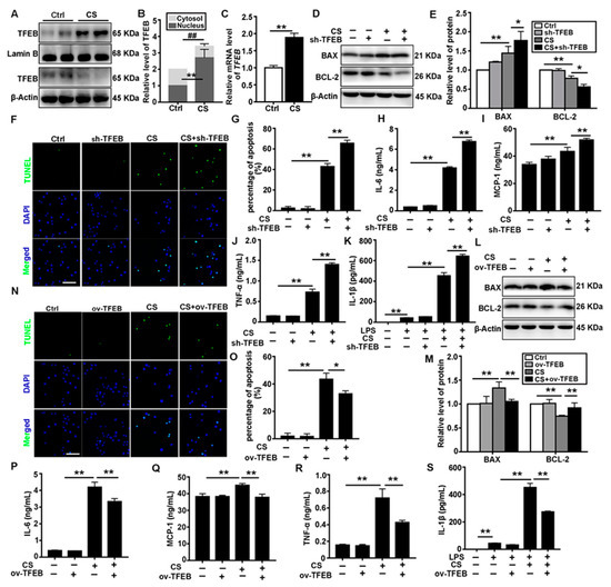 Trehalose Alleviates Crystalline Silica-Induced Pulmonary Fibrosis via ...