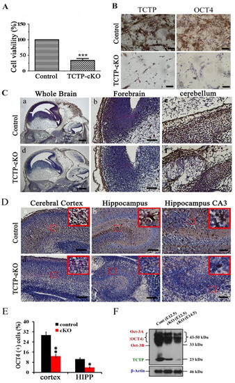 TCTP is Essential for Cell Proliferation and Survival during CNS ...