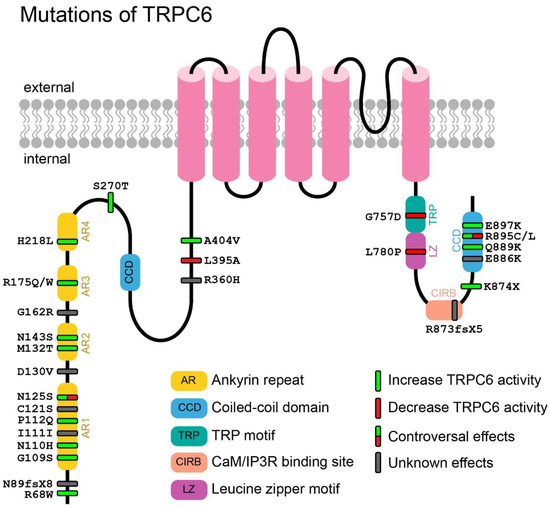 Post-Translational Modification and Natural Mutation of TRPC Channels