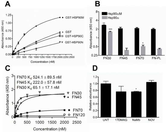 HSP90 Interacts with the Fibronectin N-terminal Domains and Increases Matrix Formation