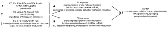 Tspan8-Tumor Extracellular Vesicle-Induced Endothelial Cell and ...