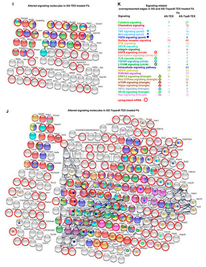 Tspan8-Tumor Extracellular Vesicle-Induced Endothelial Cell and ...