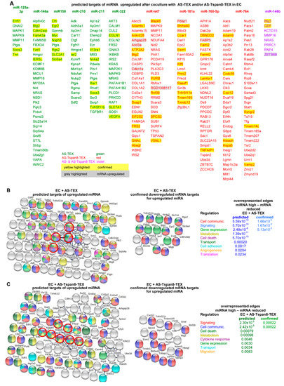 Tspan8-Tumor Extracellular Vesicle-Induced Endothelial Cell and ...