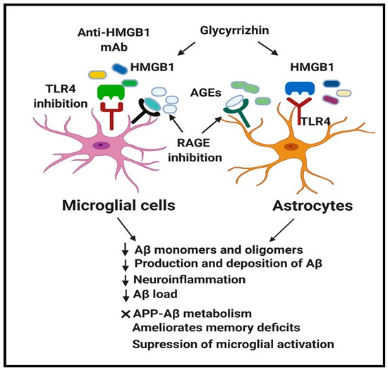 Cells | Free Full-Text | Impact of HMGB1, RAGE, and TLR4 in Alzheimer’s Disease (AD): From Risk ...