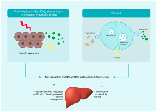 Evolving Cell-Based and Cell-Free Clinical Strategies for Treating ...