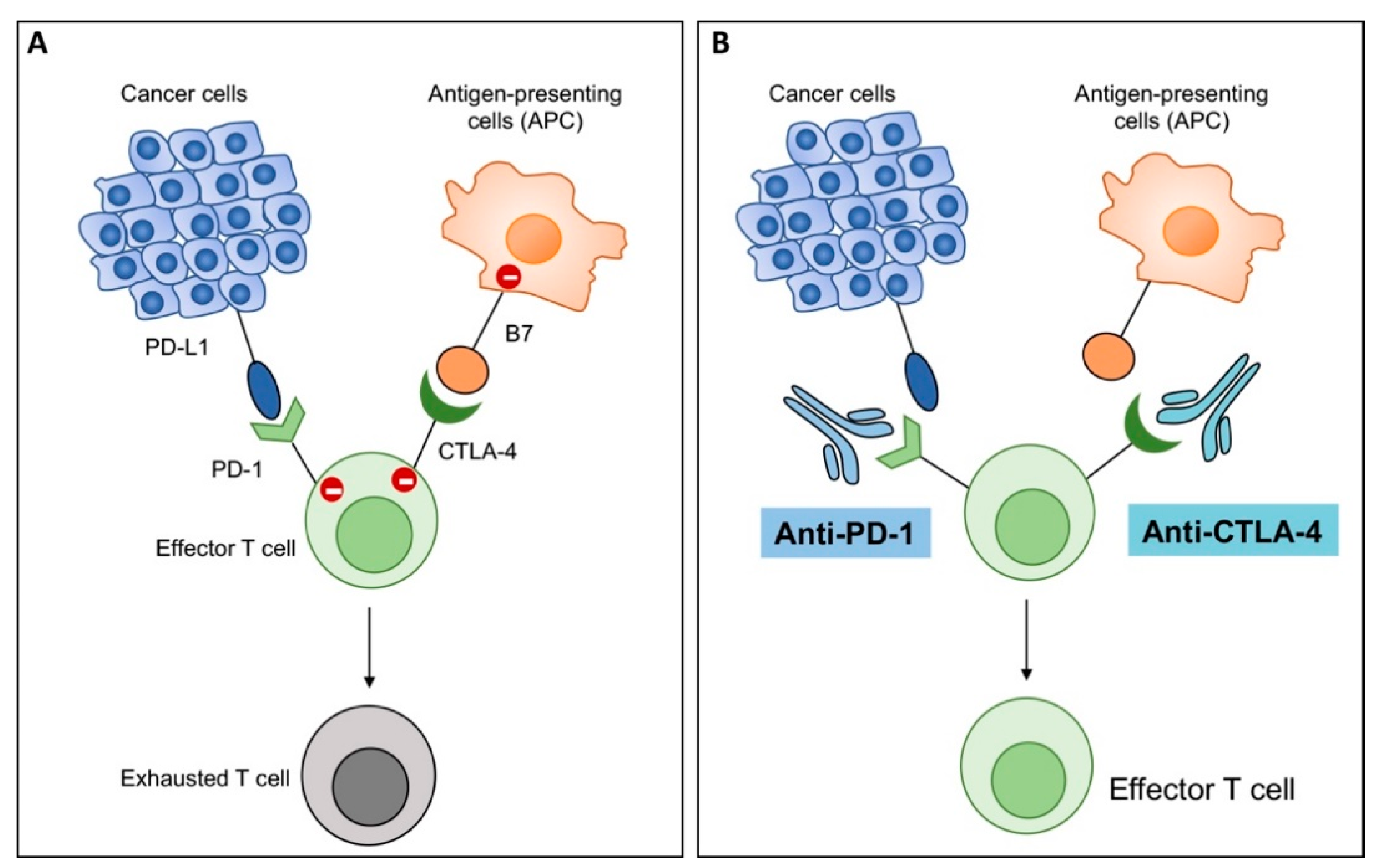 Oncolytic Viral Therapy
