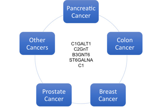 Cells | Free Full-Text | A Systematic Review on the Implications of O ...