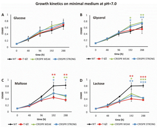 PPE51 Is Involved in the Uptake of Disaccharides by Mycobacterium ...