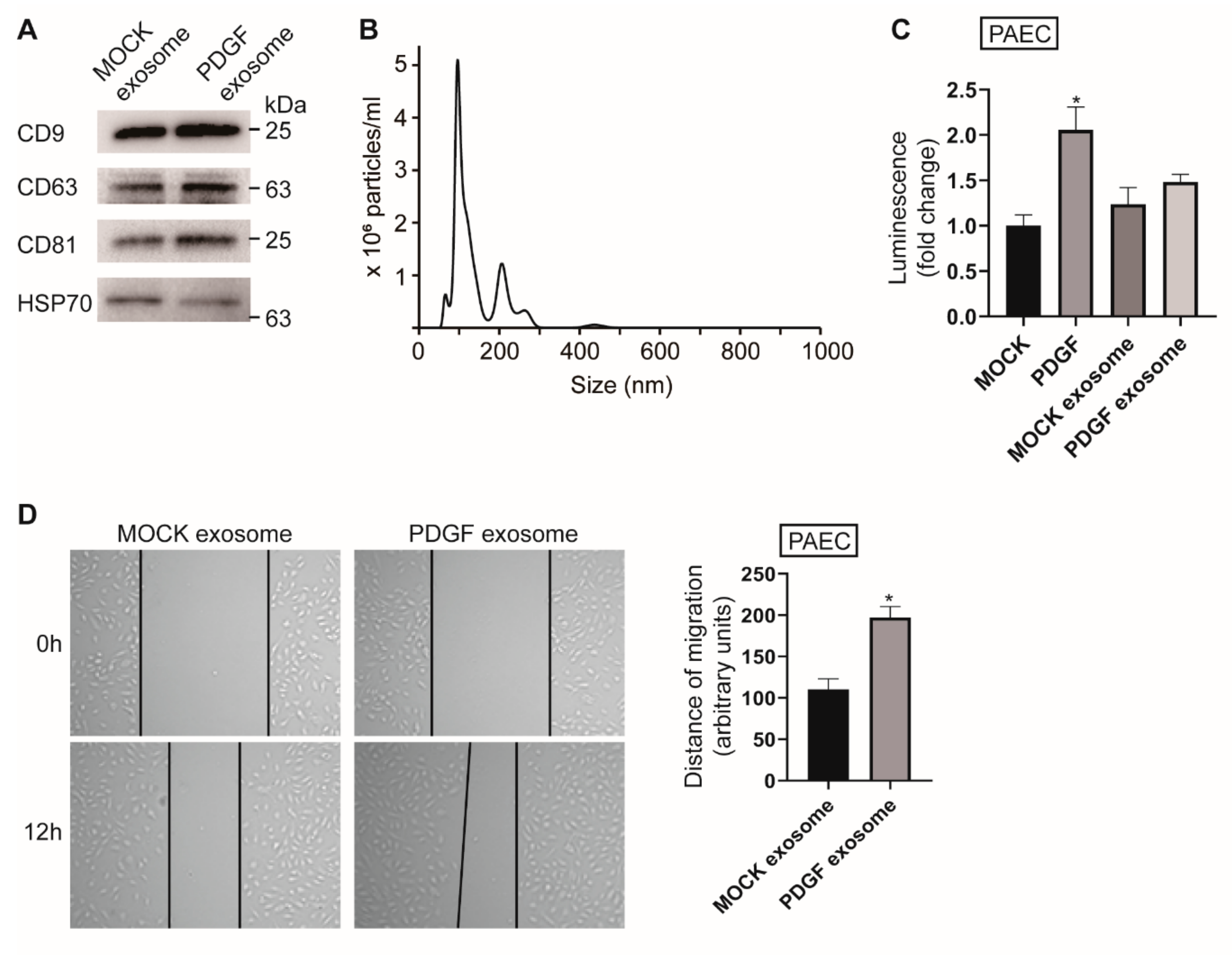 Vascular Smooth Muscle Cell-Derived Exosomal MicroRNAs Regulate Endothelial Cell Migration Under ...