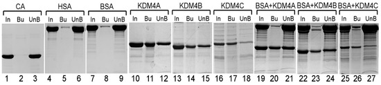 Heme, A Metabolic Sensor, Directly Regulates the Activity of the KDM4 ...