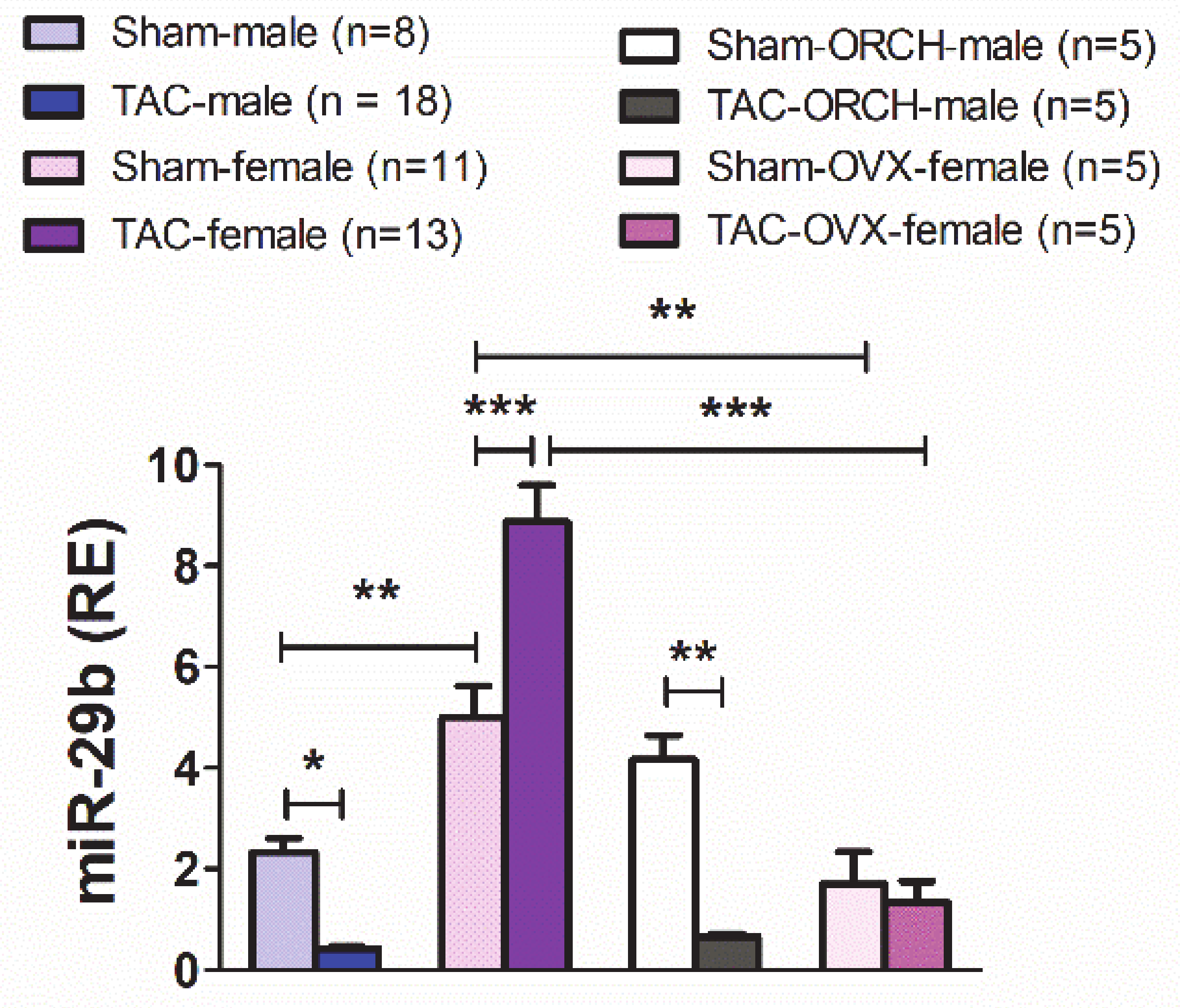 Cells Free Full Text Sex Specific Regulation Of Mir 29b In The