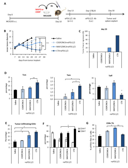 Cells | Special Issue : Immunology of Cell Death in Cancer Immunotherapy
