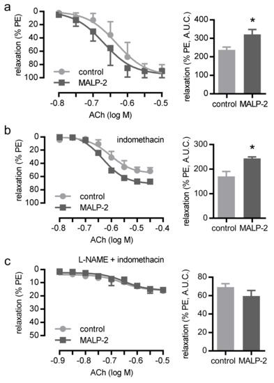 The Lipopeptide MALP-2 Promotes Collateral Growth