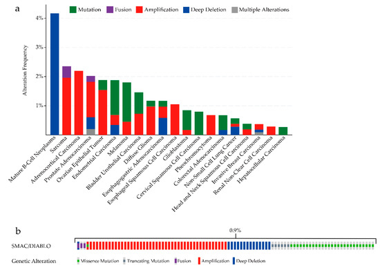 Potency and Selectivity of SMAC/DIABLO Mimetics in Solid Tumor Therapy