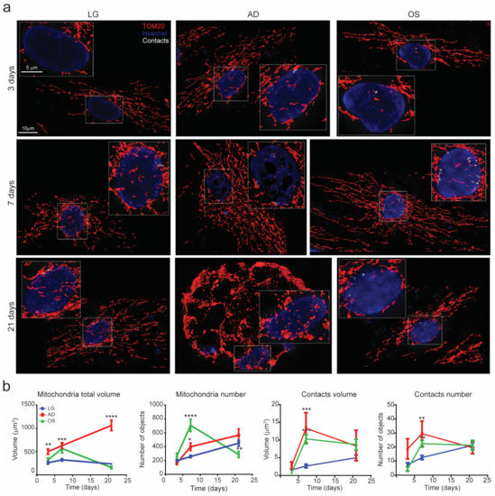 Citrate Mediates Crosstalk between Mitochondria and the Nucleus to ...