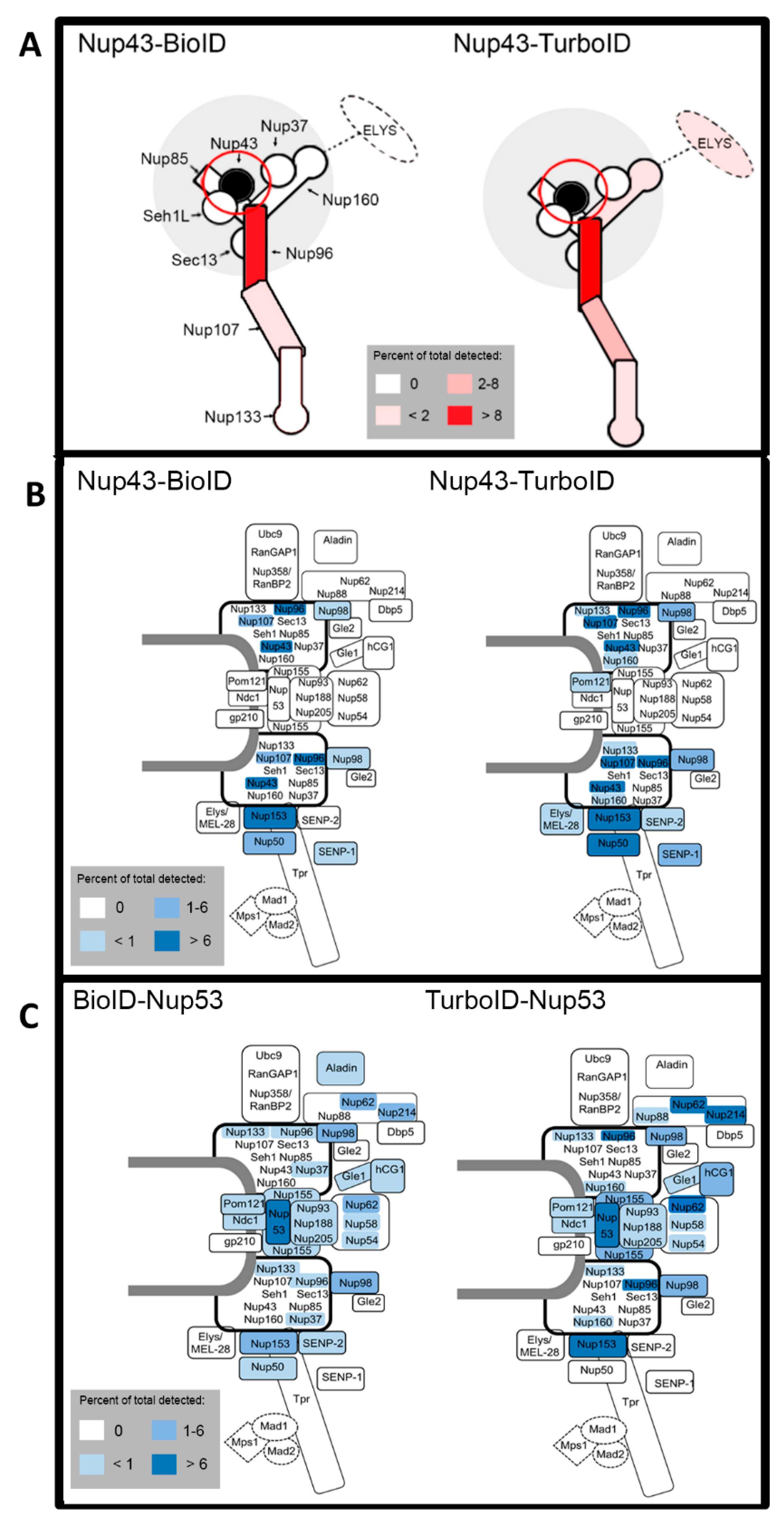Comparative Application of BioID and TurboID for Protein-Proximity ...