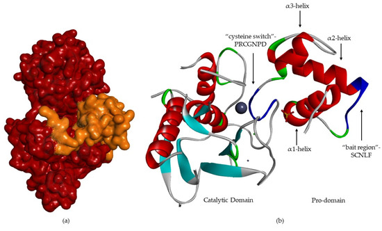 Structure and Function of Human Matrix Metalloproteinases