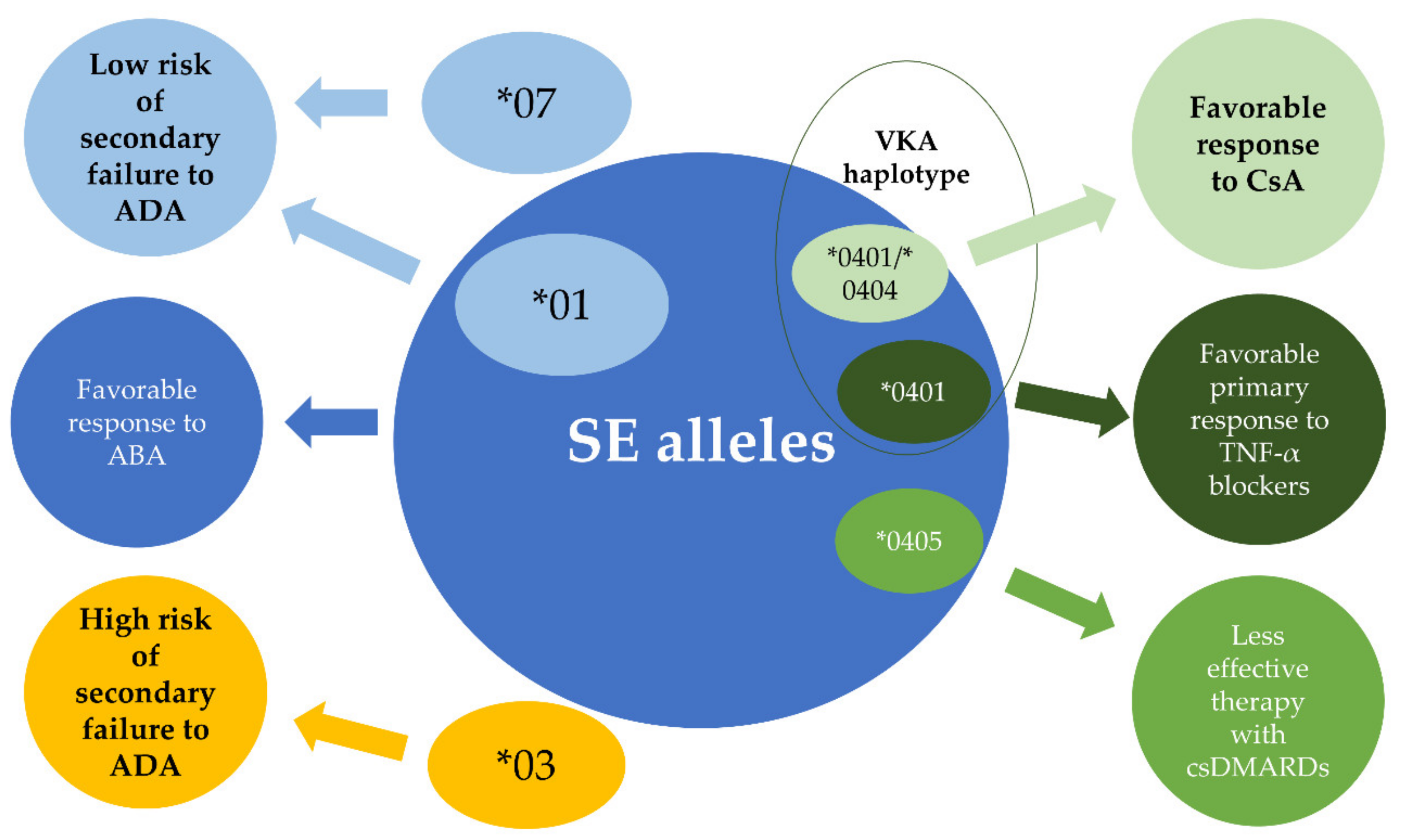 Cells Free Full Text Current Understanding Of An Emerging Role Of